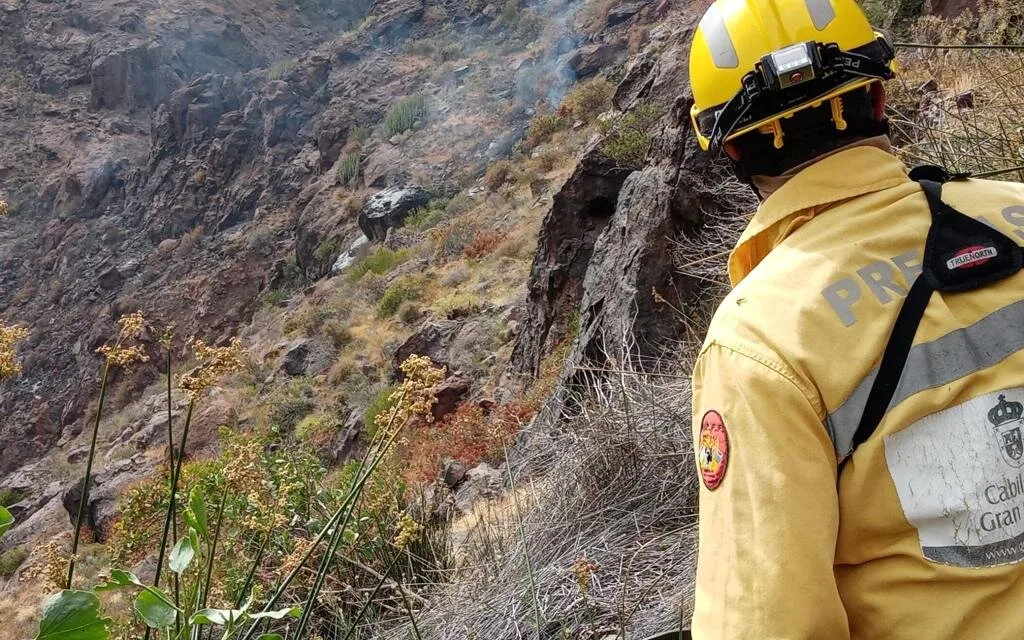 Cabildo declares alert for the risk of forest fires in the midlands and ...