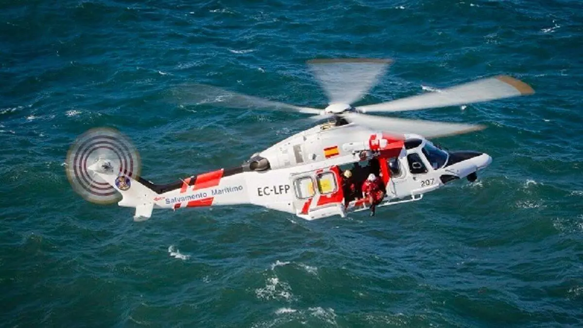 German Tourist Dies Following Shark Attack More Than 500 km South Of ...
